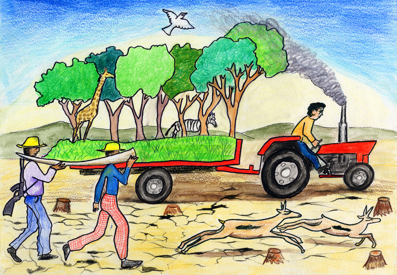 LA CARTILLA DIGITAL: El mejor dibujo de medio ambiente realizado por un ...