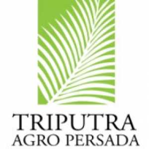 Lowongan Kerja Medan di PT Triputra Agro Persada Batas Waktu 17 ...