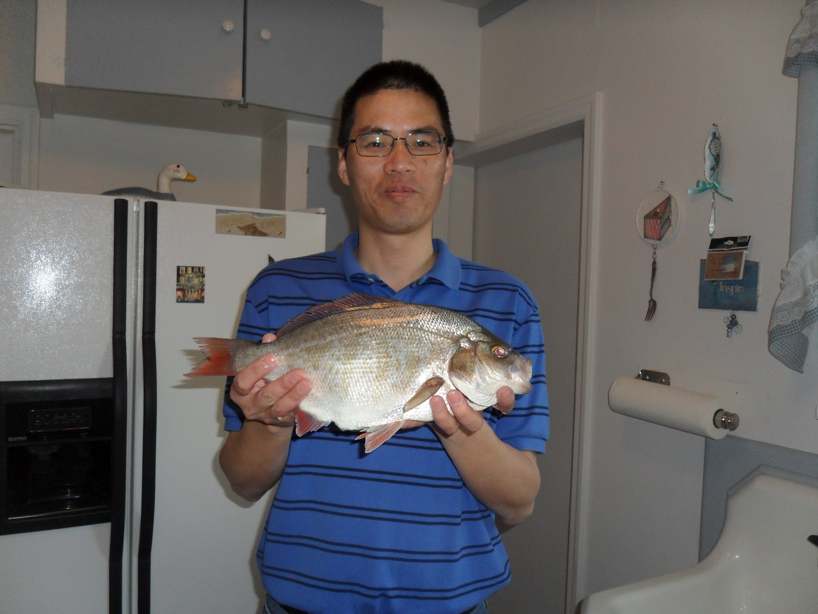 Go Fishing: SURF PERCH FISHING