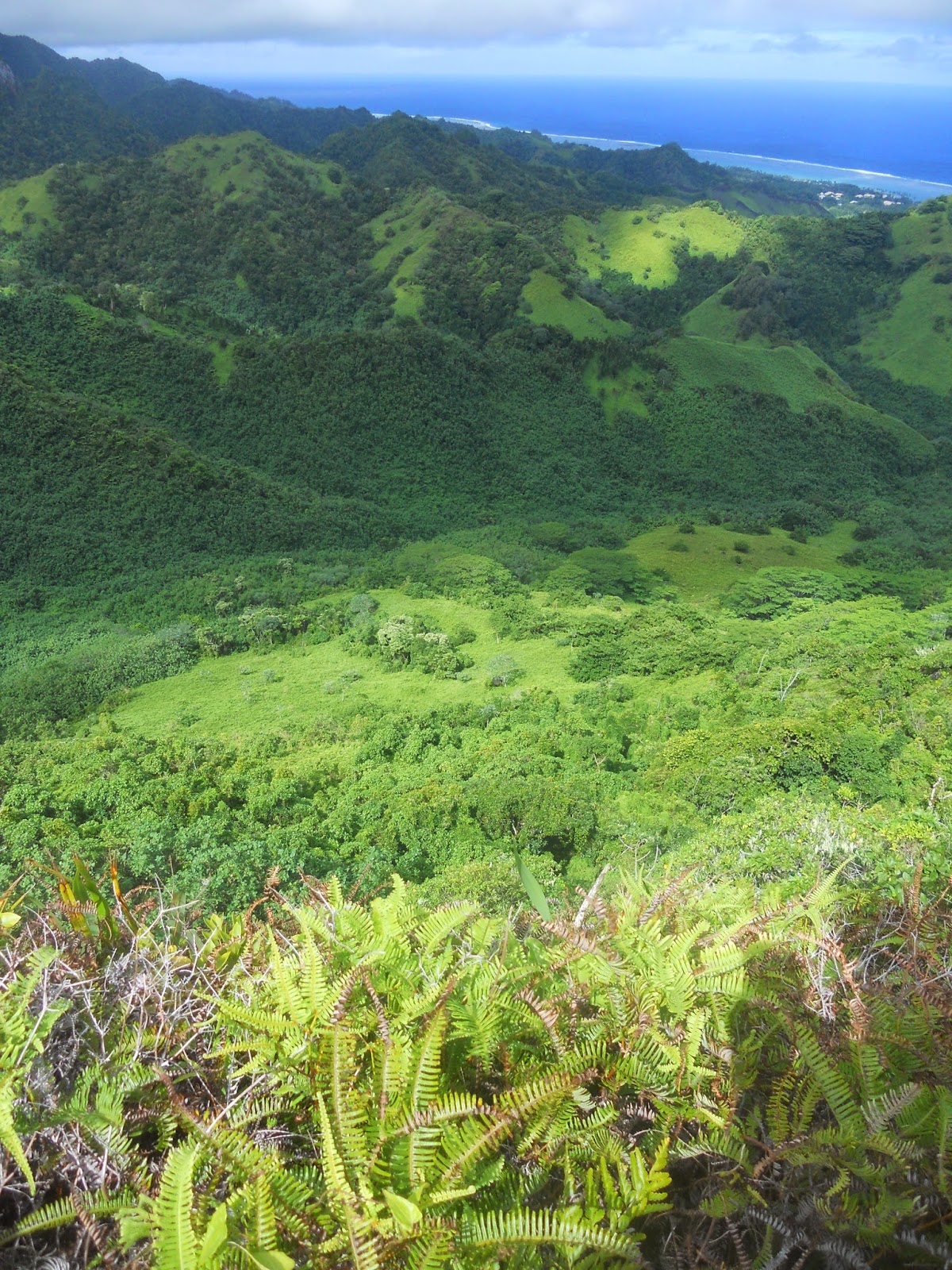 Another Day in New Zealand: Rarotonga Hike - Raemaru Heights Lookout