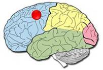 NeuroRespuestas: marzo 2019