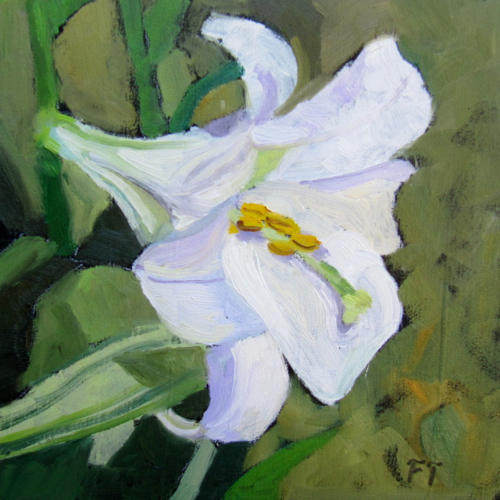 Fay Terry's Daily Paintings: Easter Lily