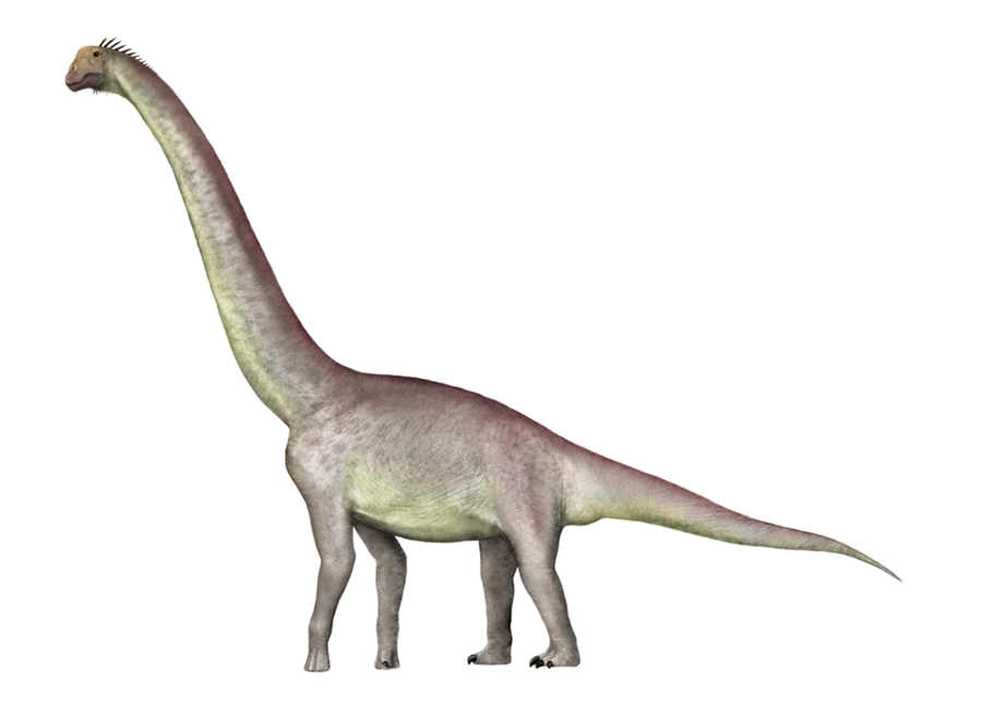 Mundo Pré-Histórico: Venenossauro, o lagarto veneno