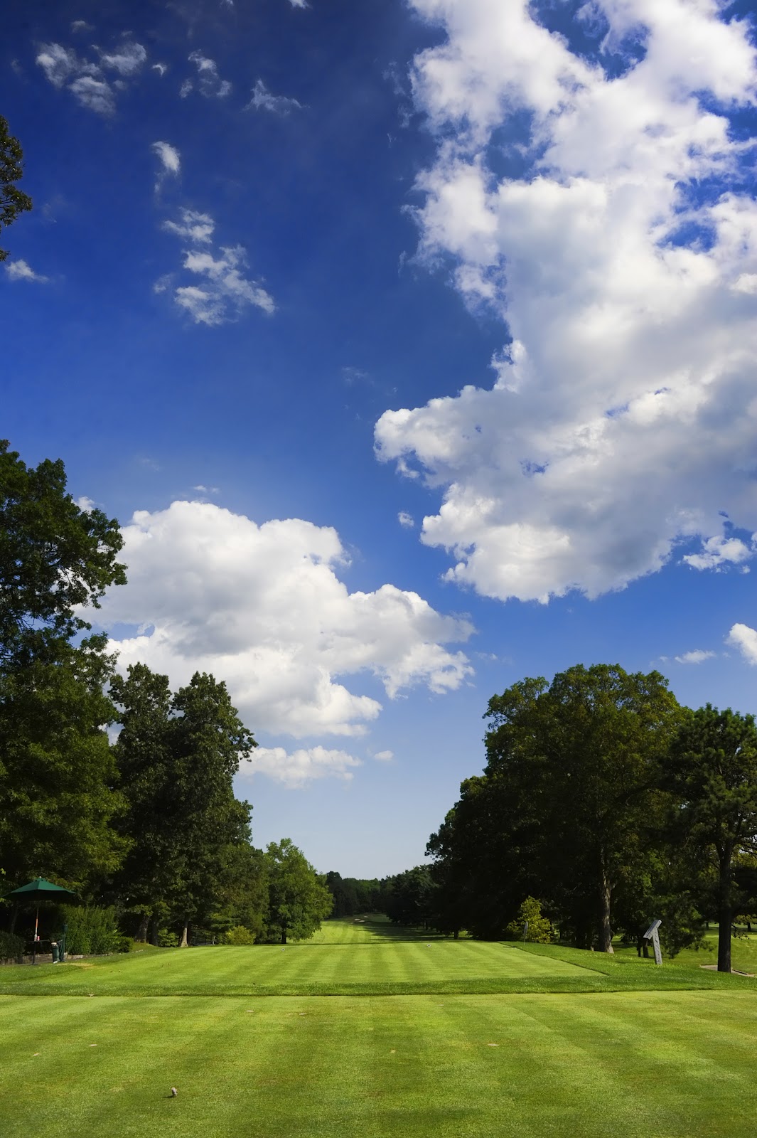 Fourth Annual Ron Darling Golf Classic – Ron Darling Foundation