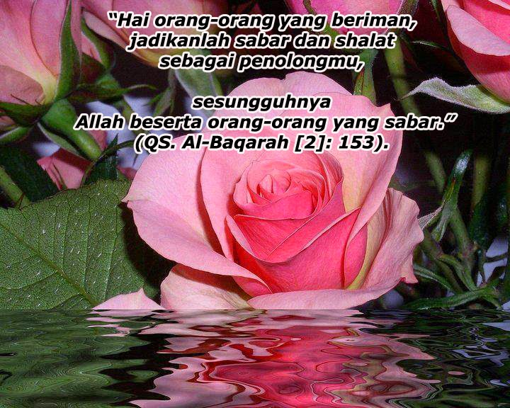 "BELAJAR": "Allah bersama orang yang Sabar dan Sholat"