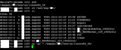 SAP Kernal upgrade on Linux Step by Step ~ Sap Basis