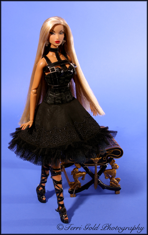 Collecting Fashion Dolls by Terri Gold: Multi-Doll Photoshoot