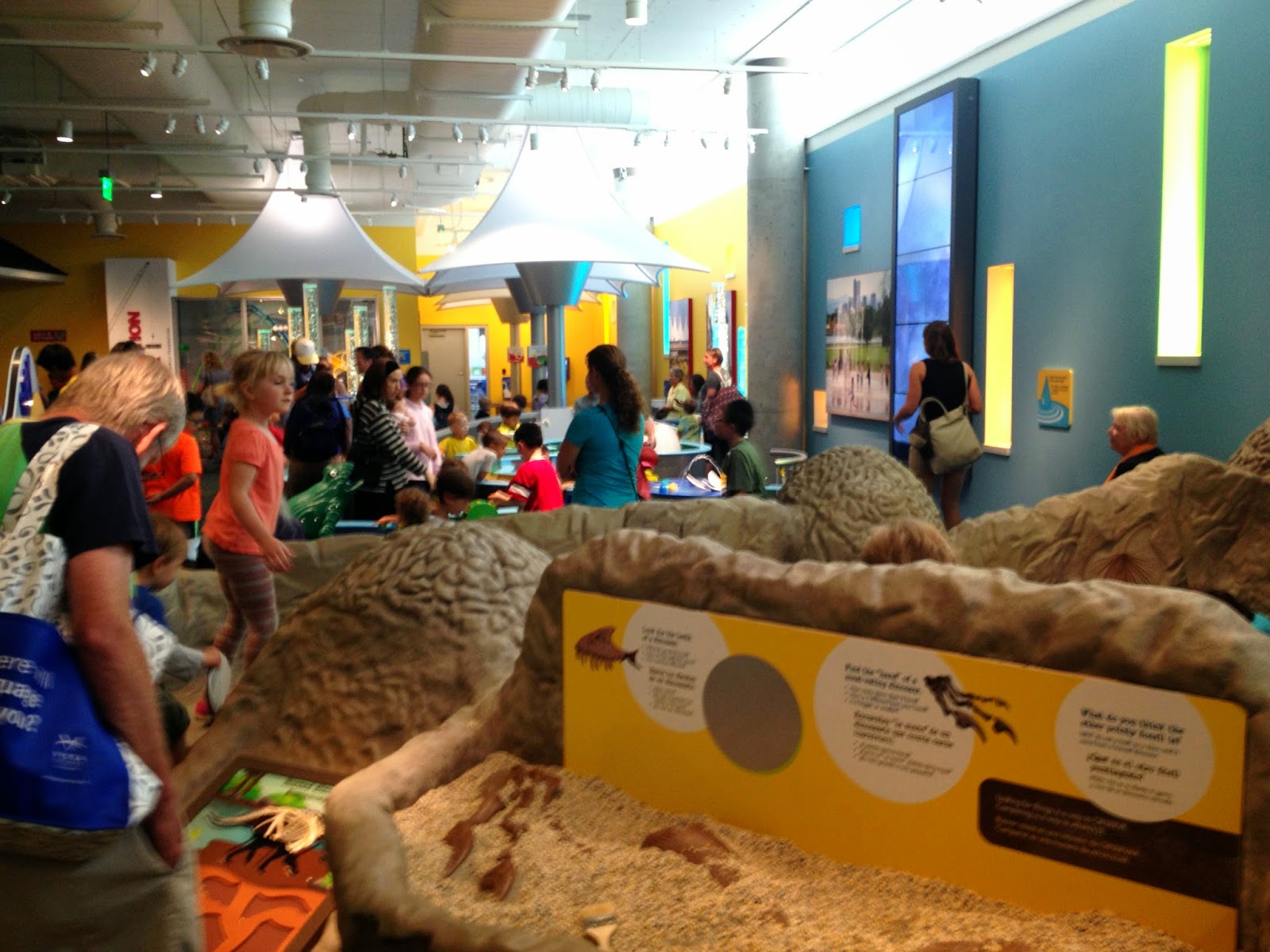 Little Fun Denver: Discovery Zone at the Museum of Nature and Science