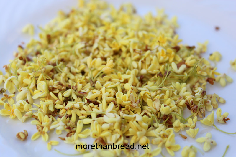 More Than Bread: Konjac Jelly with Fresh Osmanthus 桂花水晶糕