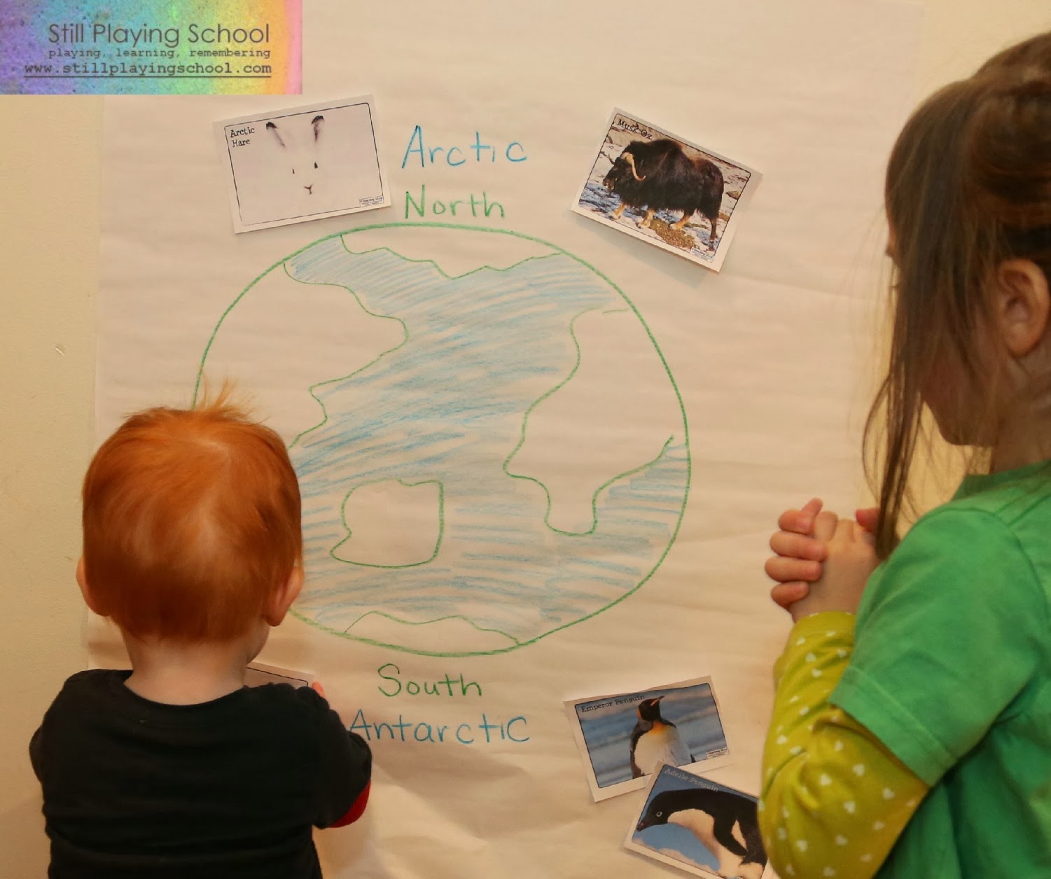 Polar Animal Sort: Arctic vs Antarctic | Still Playing School