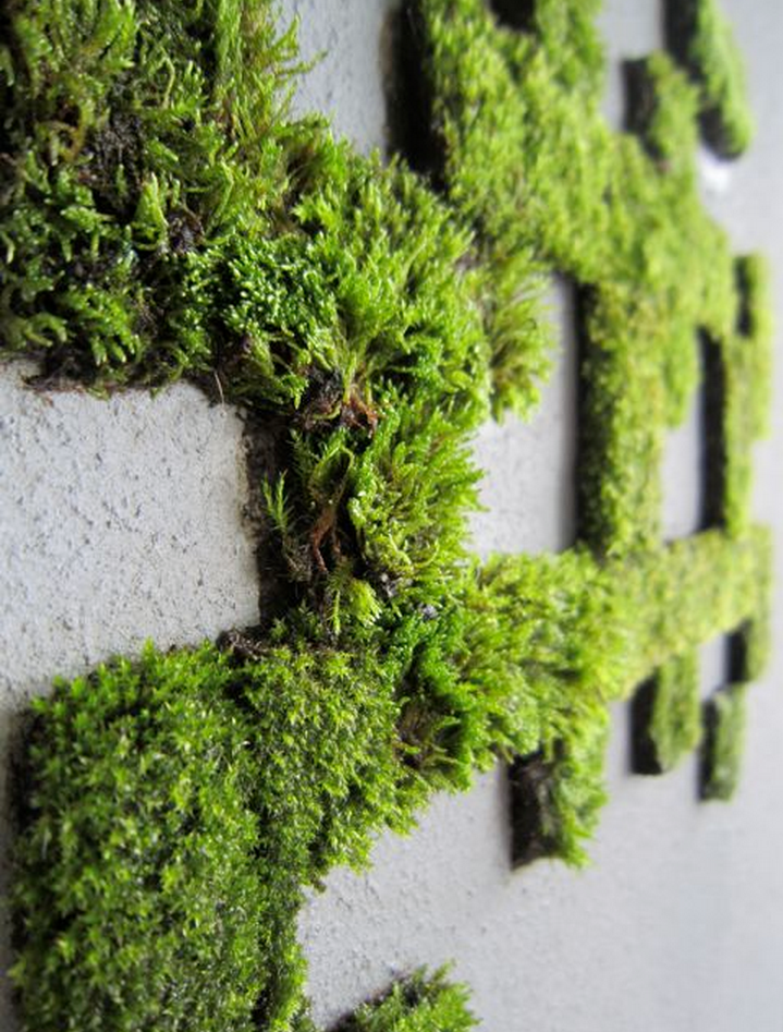 Why The Moss Graffiti Paint Doesn't Work