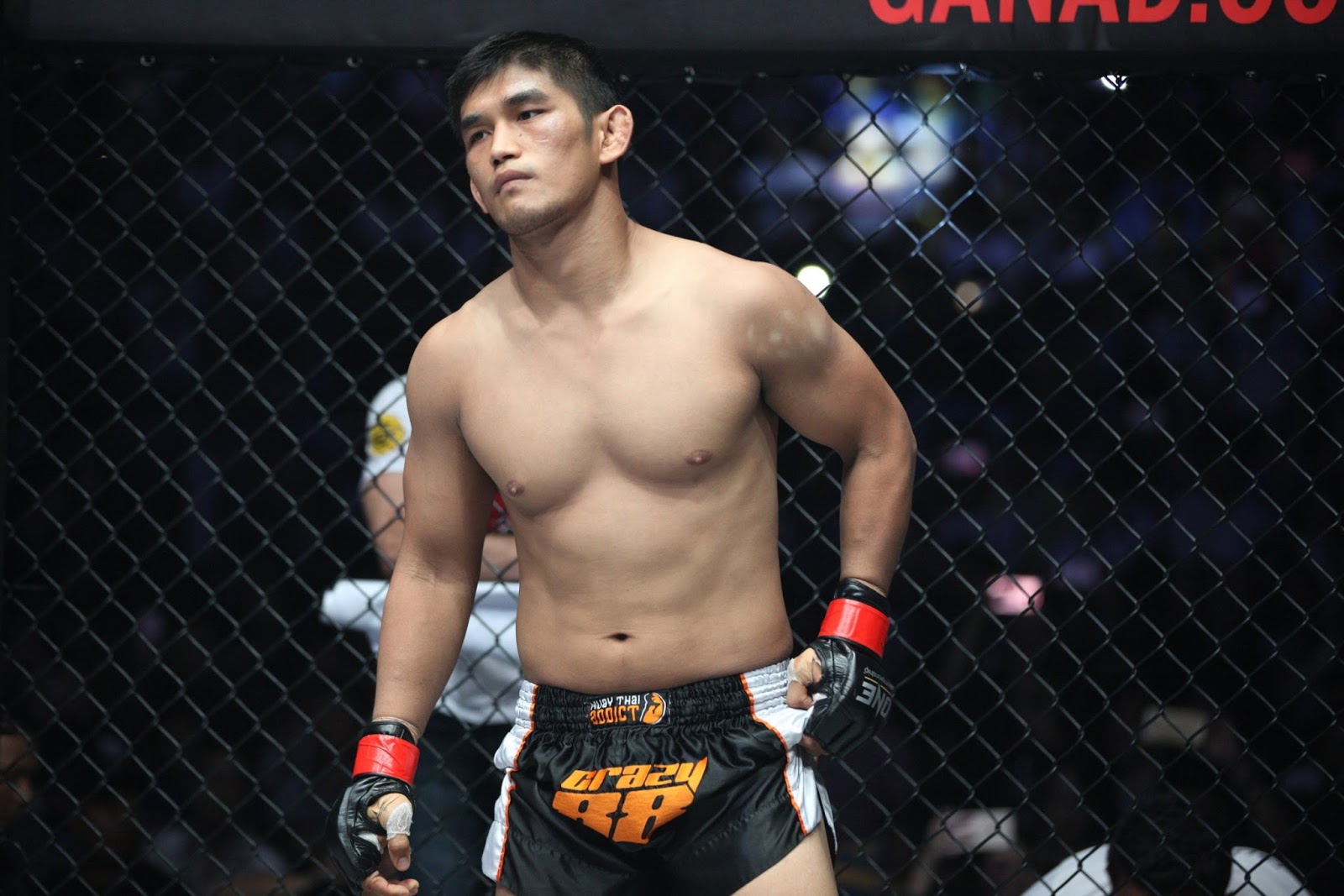 Aung La N Sang Eyes to Win Intricately-Crafted World Title for Myanmar ...