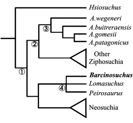 Species New to Science: [Paleontology • 2009] Barcinosuchus gradilis ...