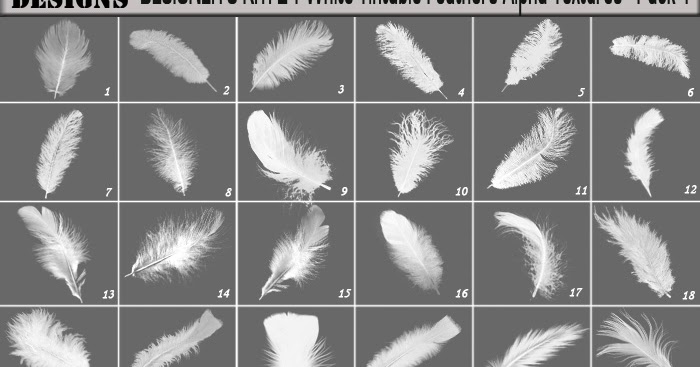 Ro!Act Designs: ..::RO!ACT::..DESIGNS Designer's Kits: 24 White ...