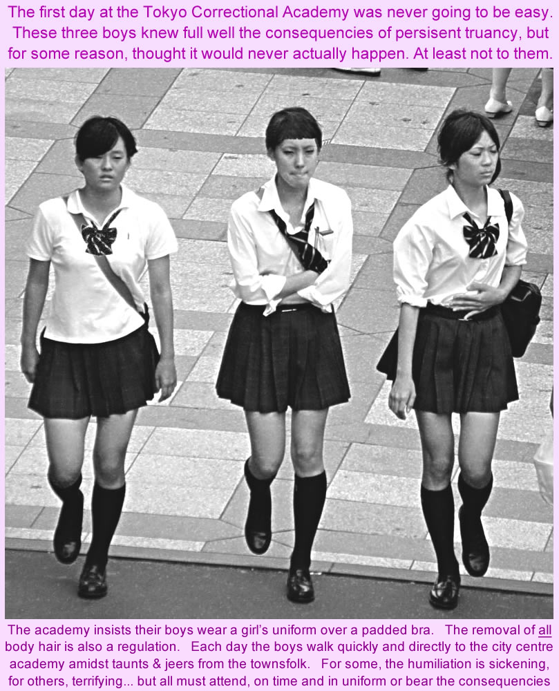 PJ's Tales of the Petticoated: Pictures