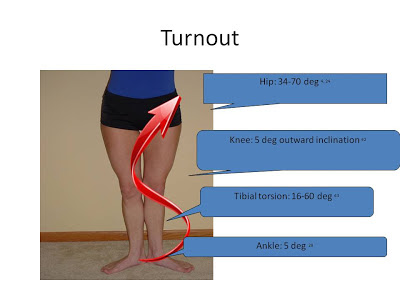 Dance: Understanding Turnout