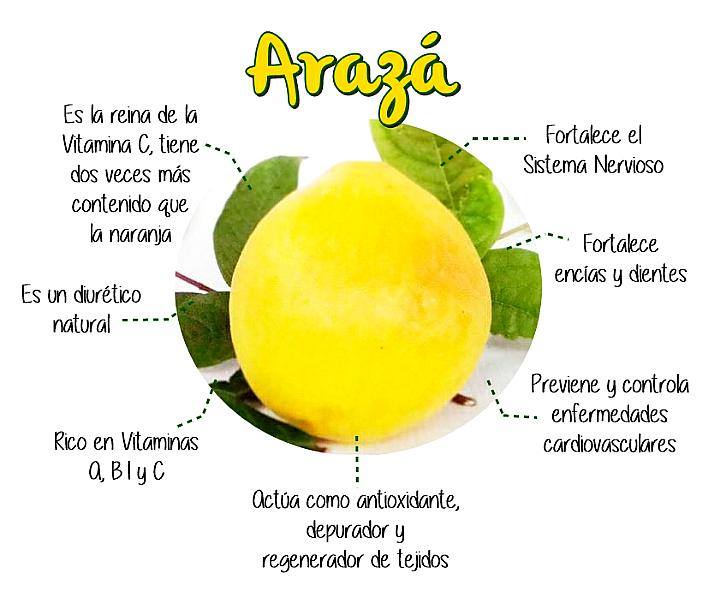 Notas de Salinas: Arazá