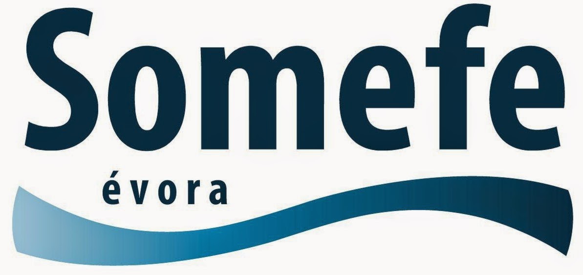 VIII Festival de Expressões "Liberdades": APOIOS