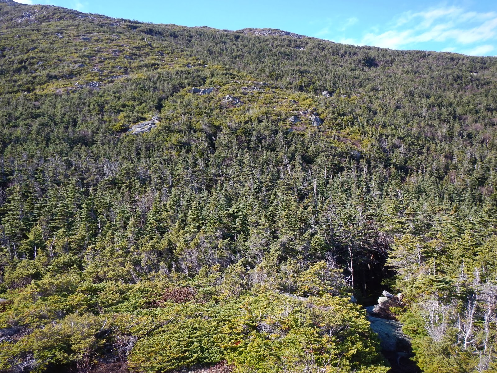 Hitting the Trails: 11/02/2013 Mount Madison - Mount Adams