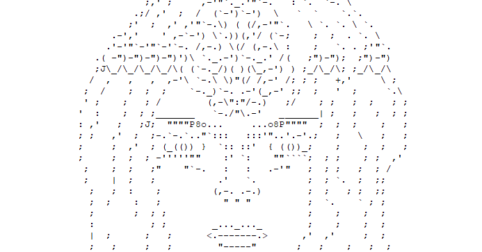 ASCII Face