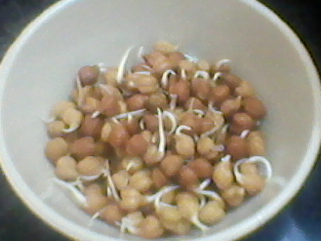 How to grow kala chana (black gram) sprouts at home | Annapurna