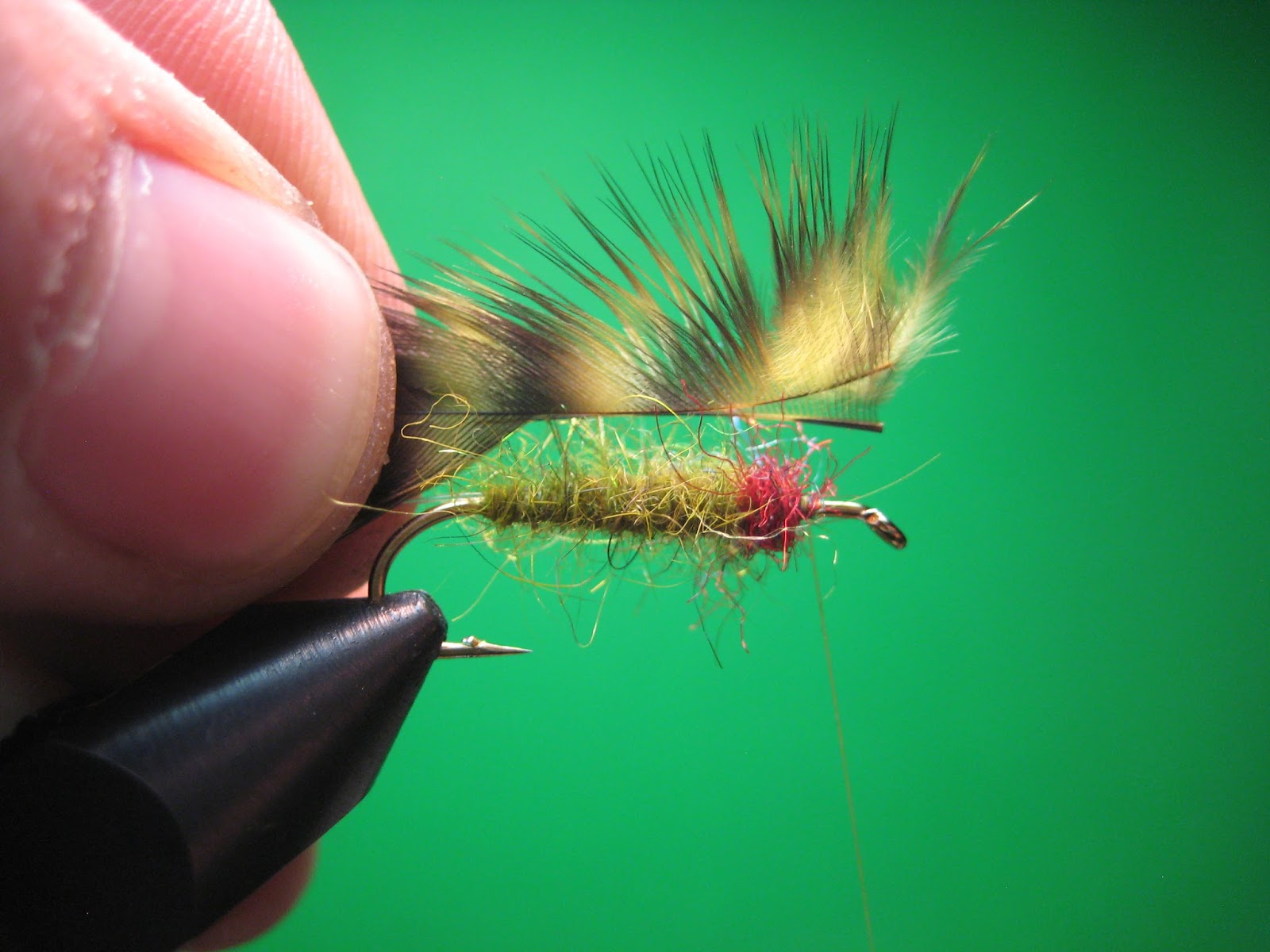 My Trout Fly: Olive Matuka
