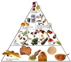 NUTRITION AND HIV/AIDS