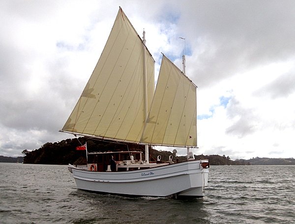 The Flying Tortoise: Junk Rig Sailing Regatta On The Beautiful Mahurangi...
