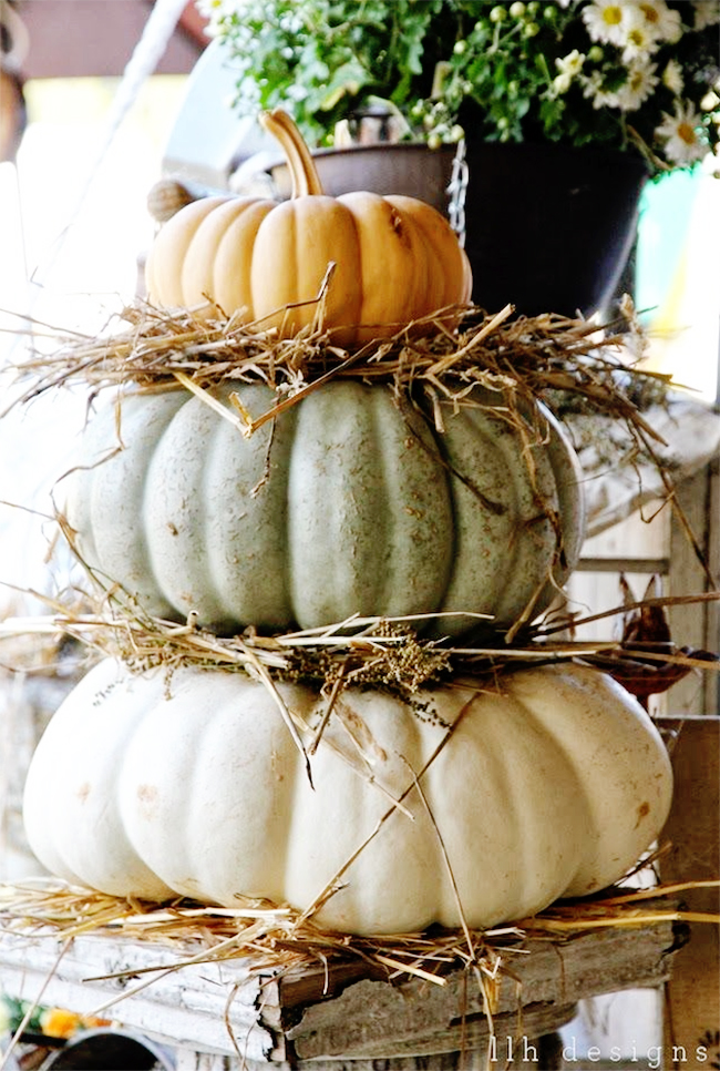 Pen + Paper Flowers: iNSPiRE | Pumpkin Everything