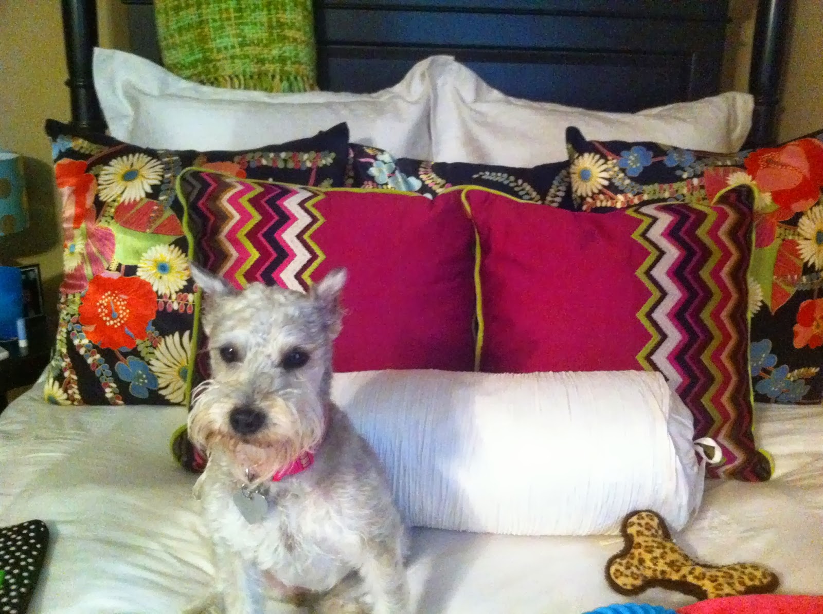 Ella Bella Bea & Flo