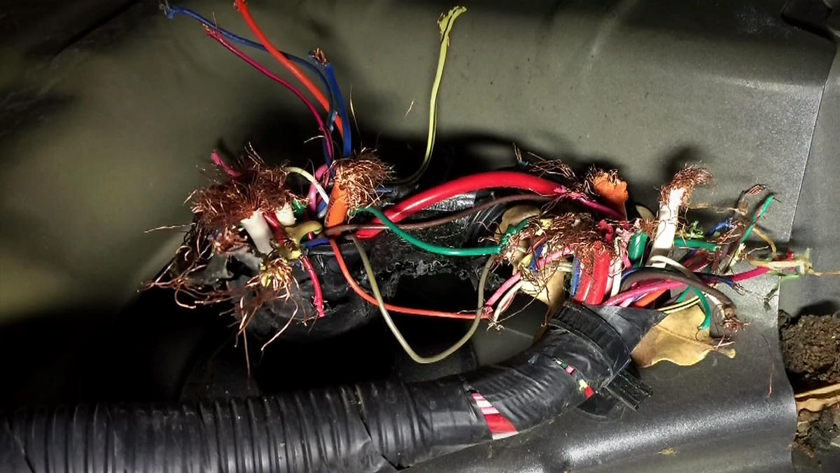 The Silicon Graybeard: Rats and the Law of Unintended Consequences