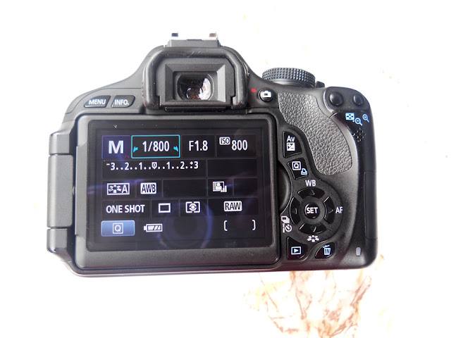 FashStyleLiv: Blog Photography Tips- DSLR Camera Settings (Canon 600D)