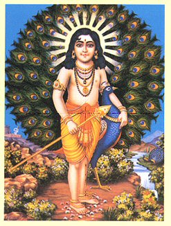 Something Spiritual : Palani Navapashana Murugan
