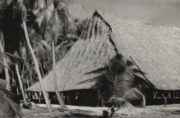 Thornes-in-Tarawa: Traditional Skills - Building a Mwaneaba