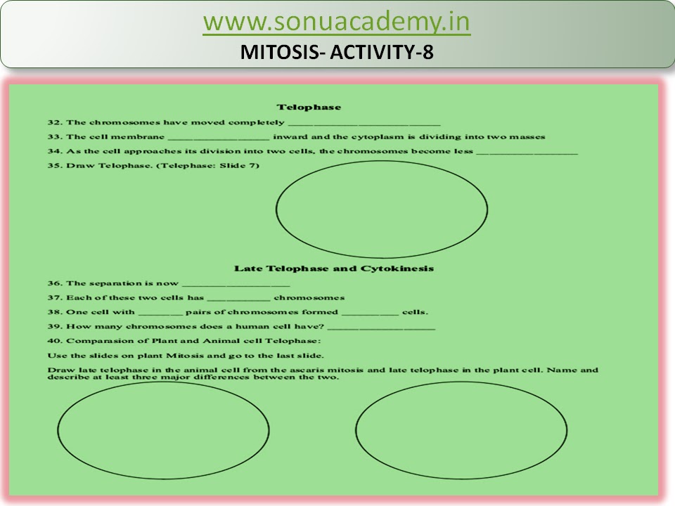 SONU ACADEMY: MITOSIS - ACTIVITY 8