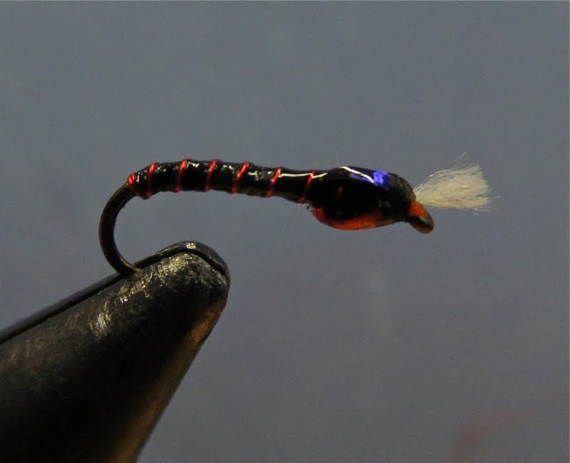Central Alberta Fly Tying Club: Phil Rowley tackles a Blizzard and ...