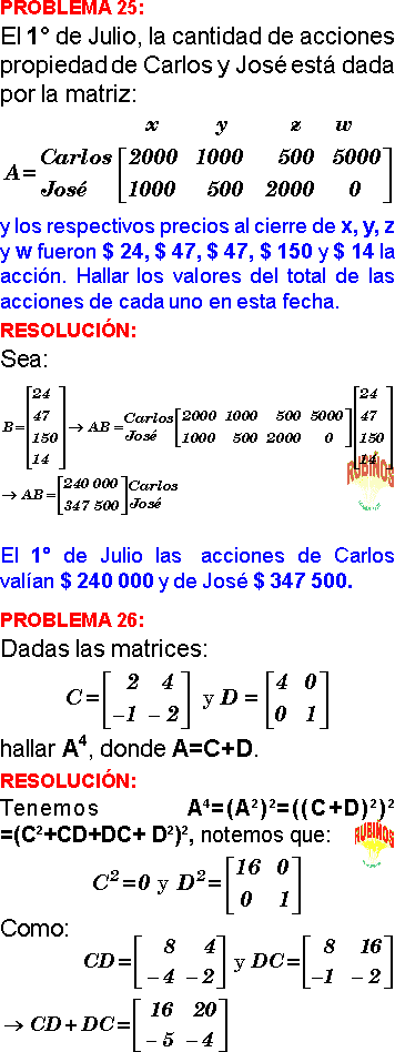 MATRICES EJERCICIOS RESUELTOS PDF