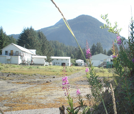 betsybear-artist: A Tour of Excursion Inlet, Alaska, July 2011