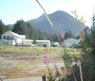 betsybear-artist: A Tour of Excursion Inlet, Alaska, July 2011