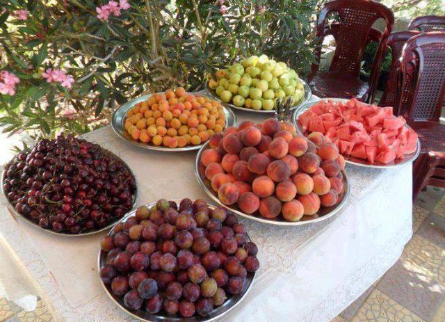 Chitral - its fruit time come and join us.... - Chitral Explorer