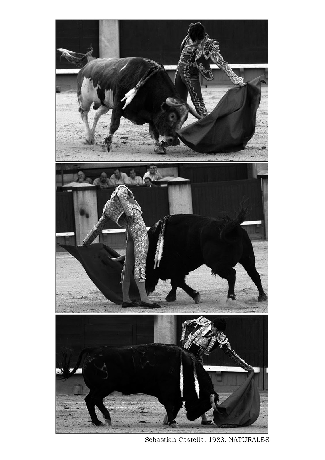 La Fiesta prohibida, por Manuel Hernández.: 2012