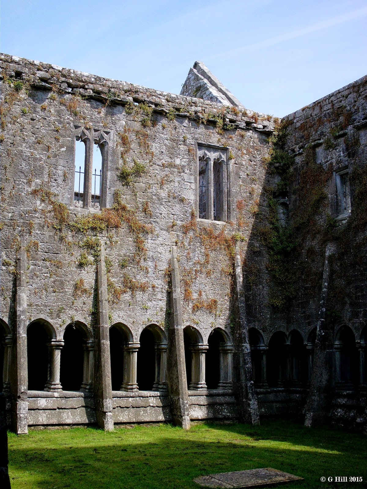 Ireland In Ruins: Quin Abbey Co Clare