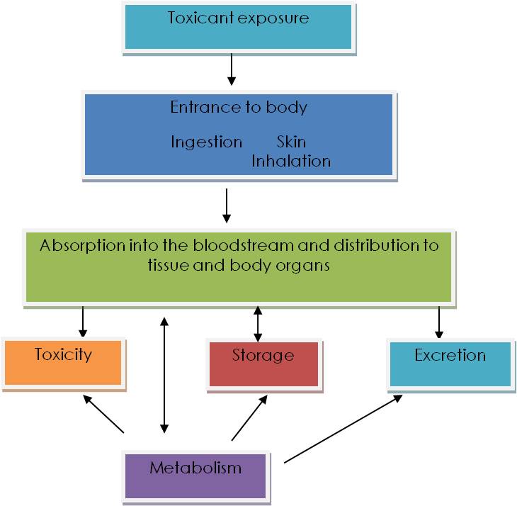 Clinical Chemistry Blog Notes 25F: TOXIC! TOXIC! TOXIC!