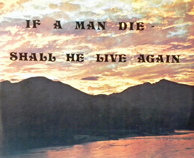 THE PENTECOSTAL MISSION MESSAGES : IF A MAN DIE, SHALL HE LIVE AGAIN ...