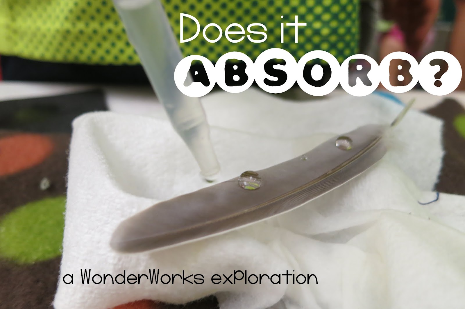 WonderWorks: Does it absorb? : library makers