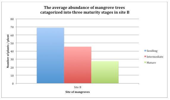 Information Techonology: Mangrove sites