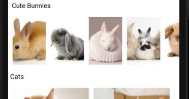 FlatList - HorizontalList and GridList