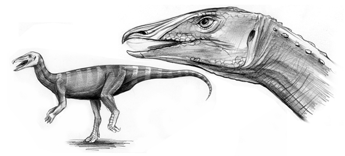 Marc Lalumière - Blog: Thescelosaurus