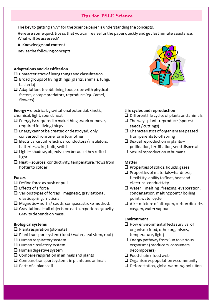 PSLE Tuition Revision Program : PSLE Exam Revision