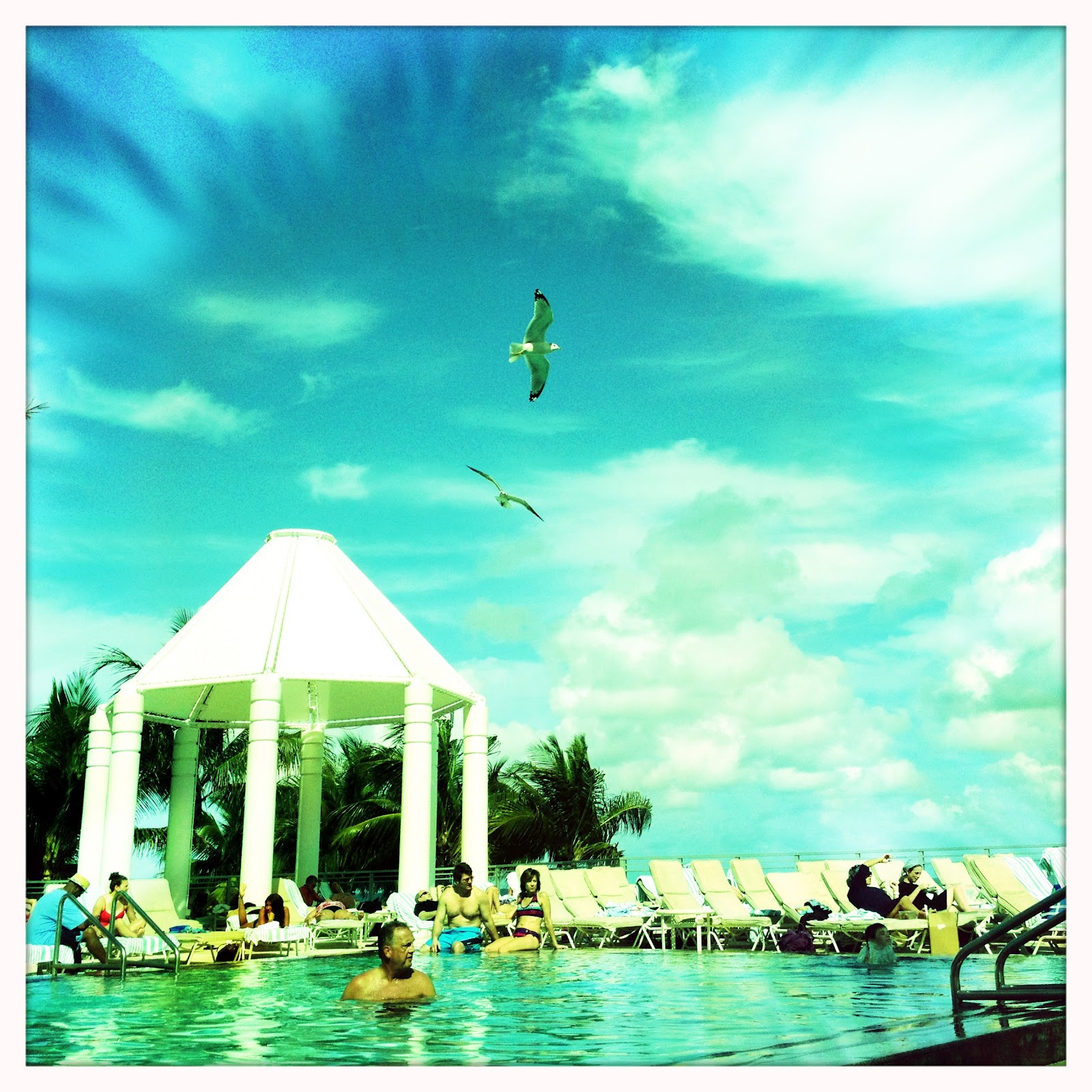 IPHONE PHOTO ROUNDUP: SOFLA CHILLIN' ~ Popthomology